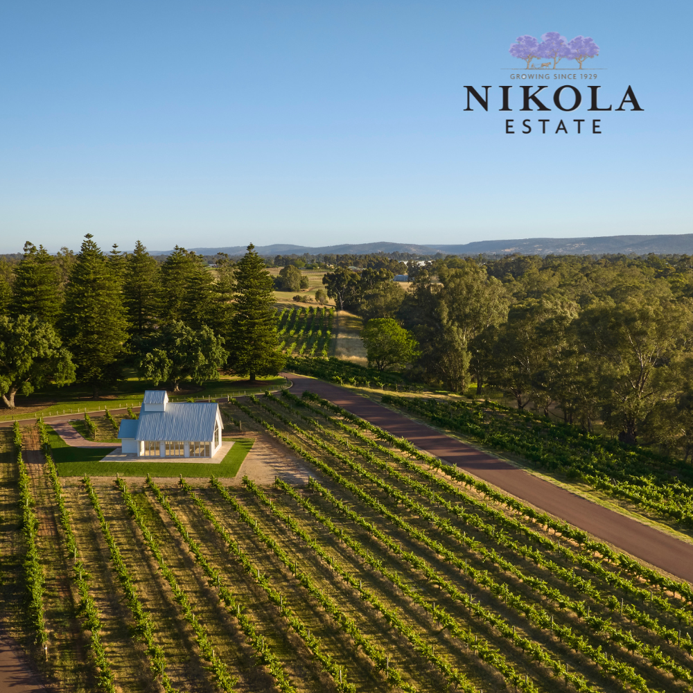 Wine – Y Gourmet